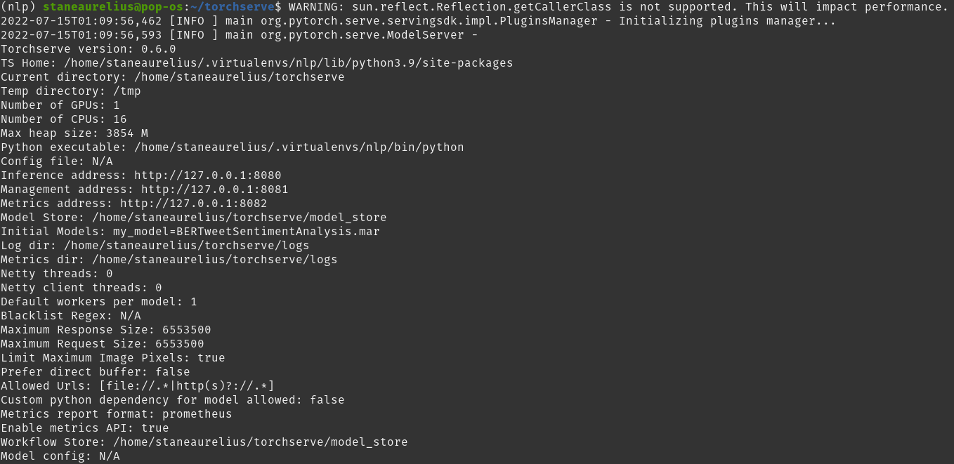 Serving Pytorch Models Using Torchserve Supertype